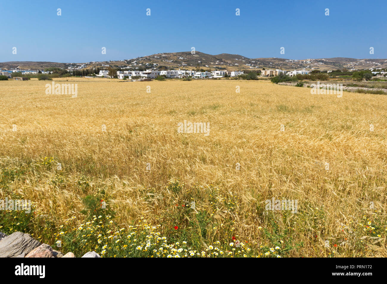 Typical Rural landscape near town of Parakia, Paros island, Cyclades ...