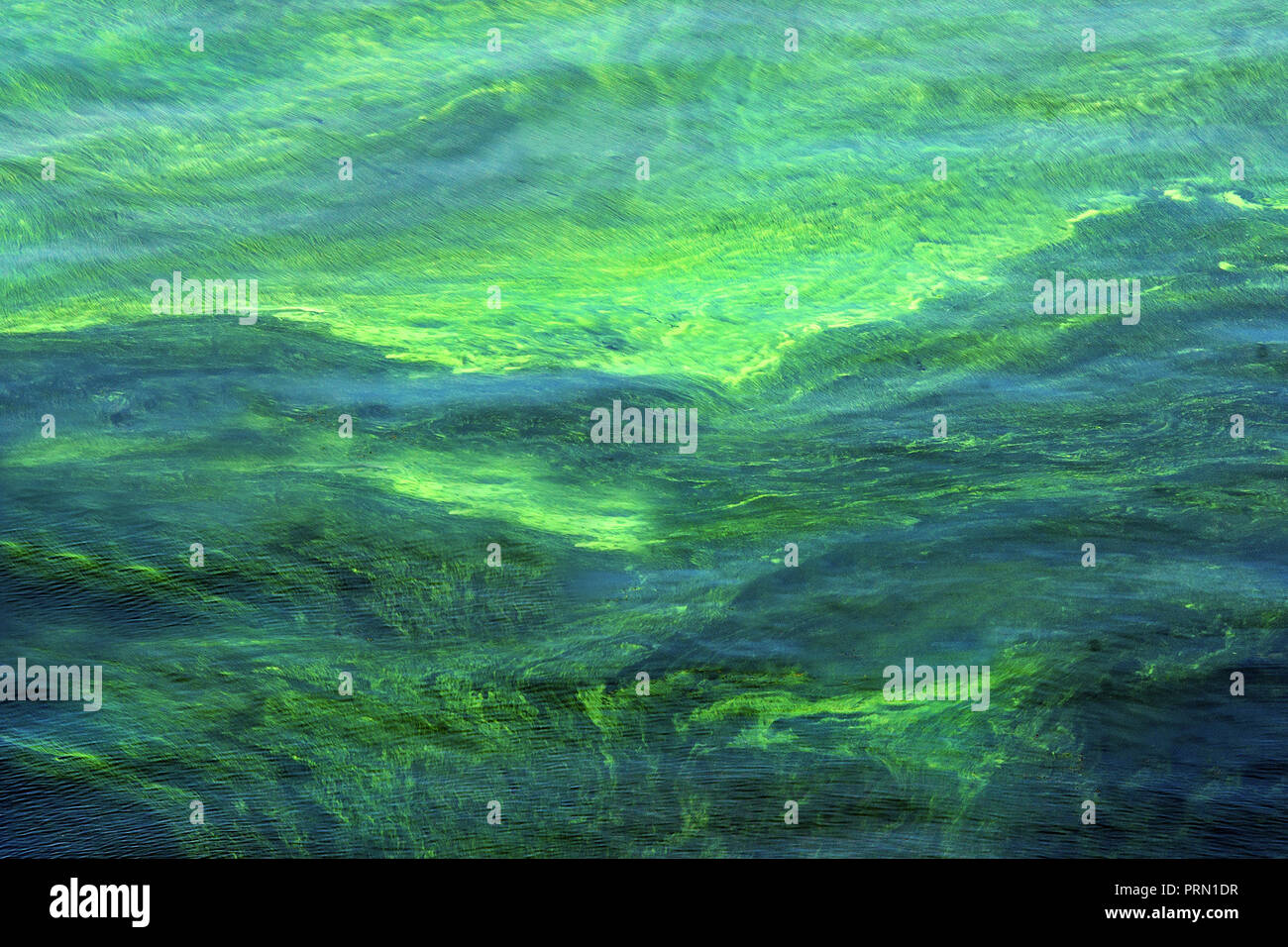 Algal bloom green ocean hi-res stock photography and images - Alamy