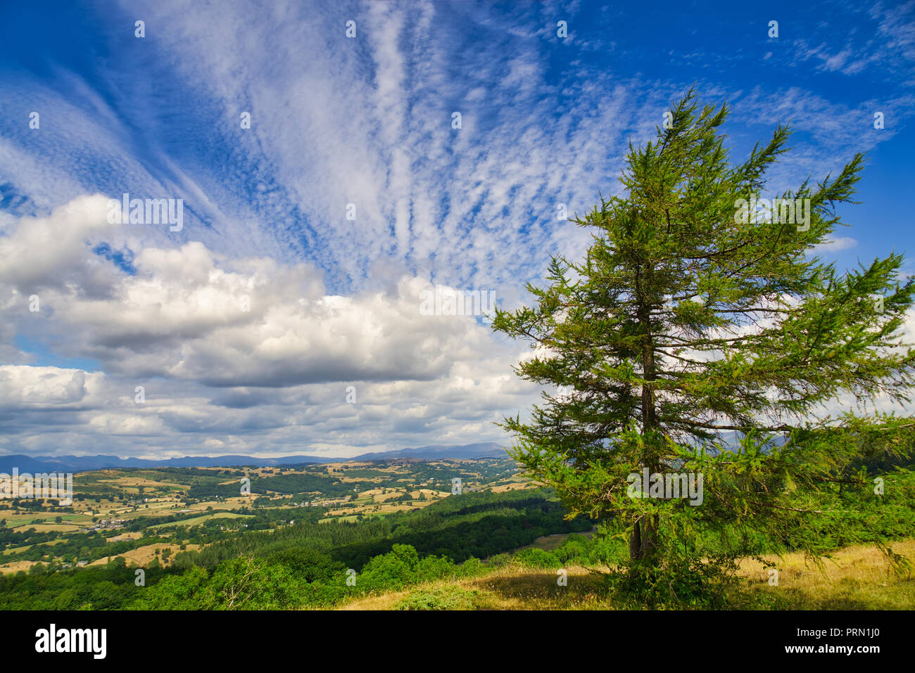 Lyth valley hi-res stock photography and images - Alamy