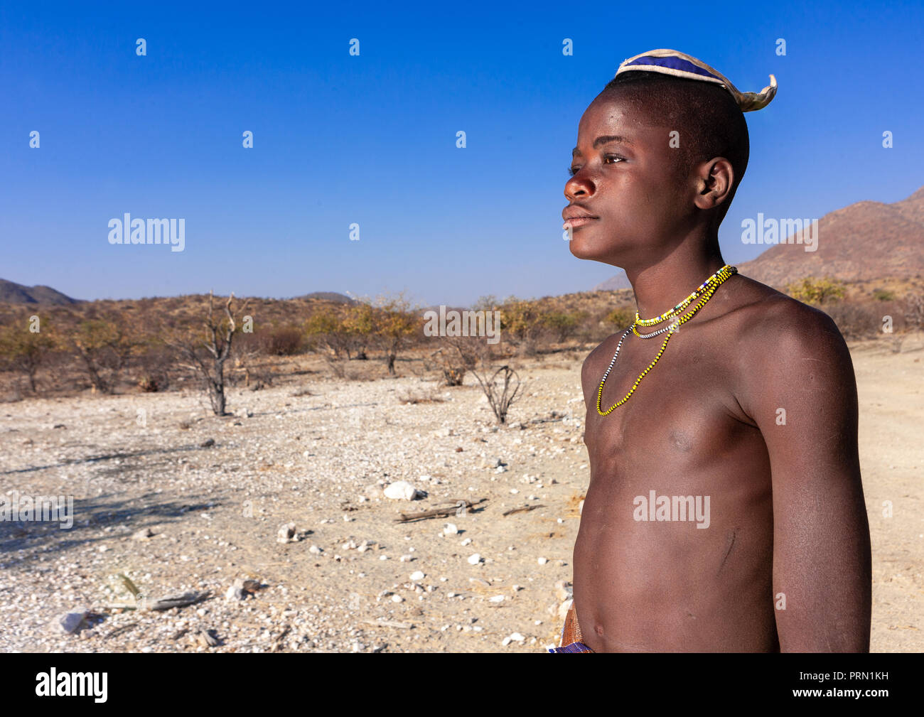 Portrait of a Himba tribe young man, Cunene Province, Oncocua, Angola ...