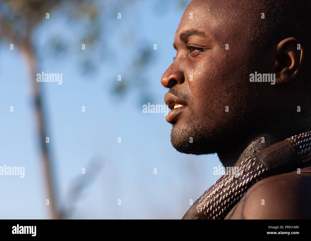Portrait of a Himba tribe man, Cunene Province, Oncocua, Angola Stock ...
