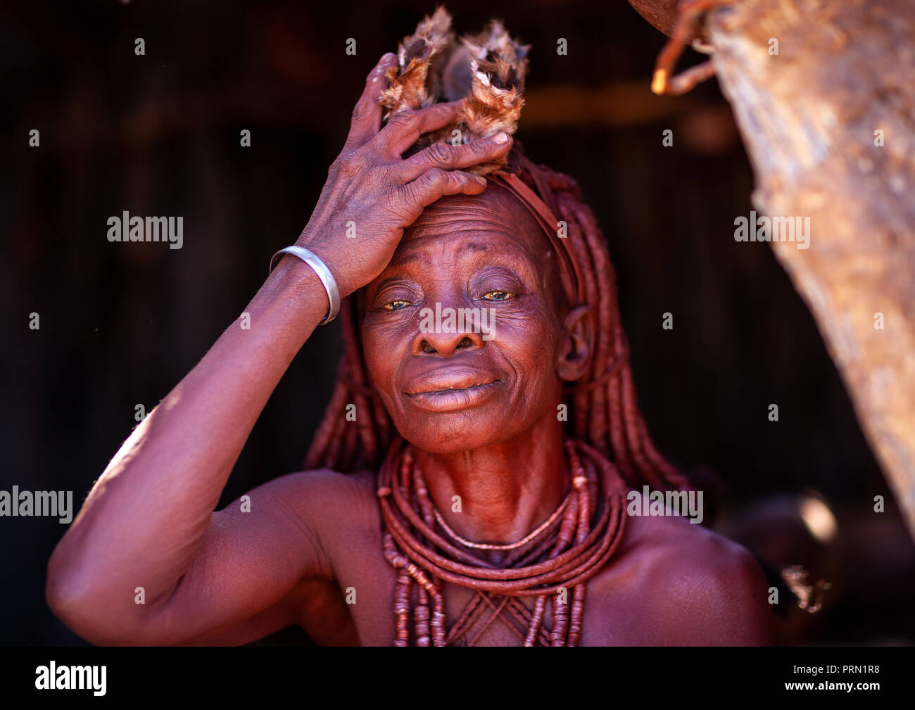 Portrait of a Himba tribe woman covered with otjize, Cunene Province ...