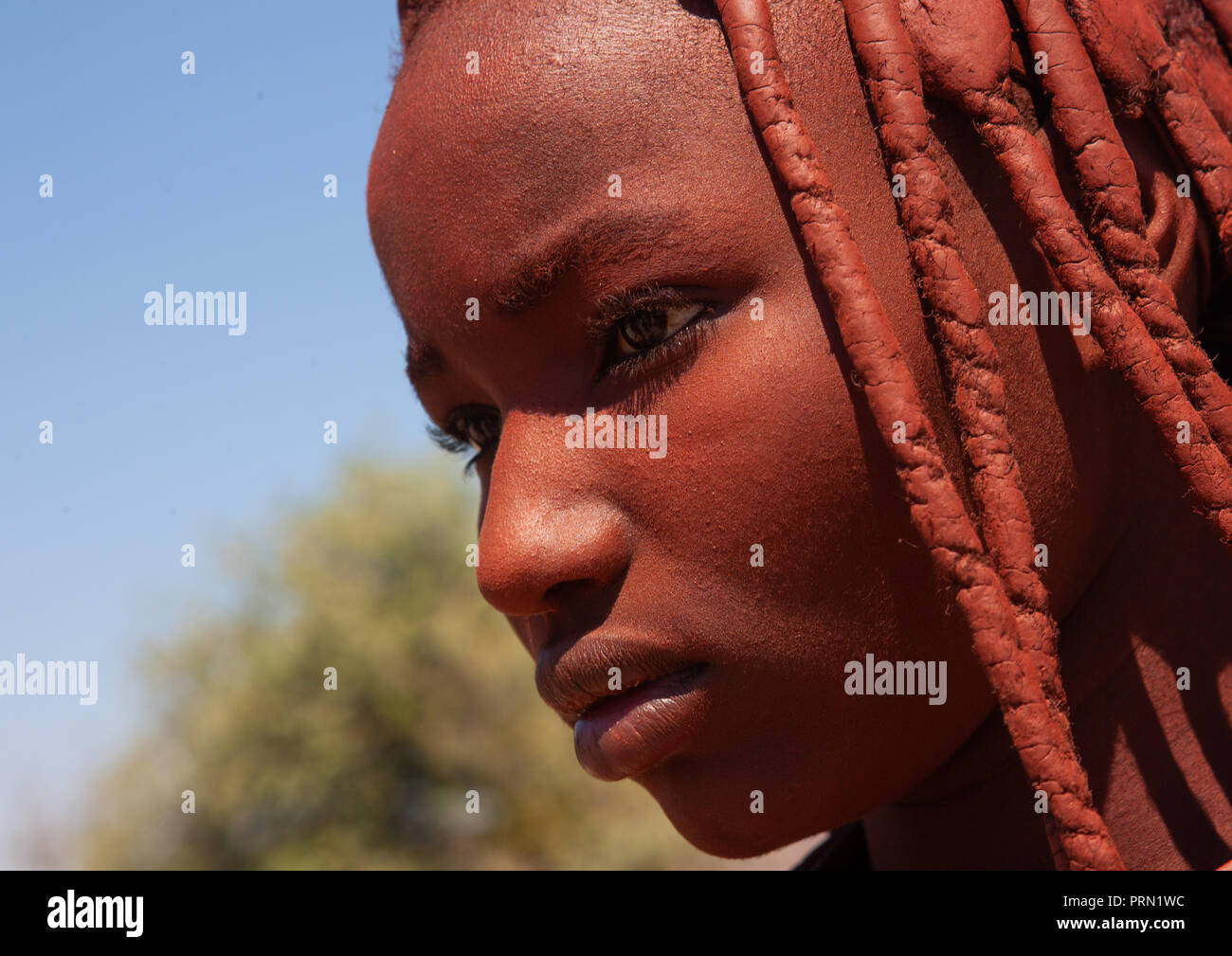 Portrait of a Himba tribe woman covered with otjize, Cunene Province ...