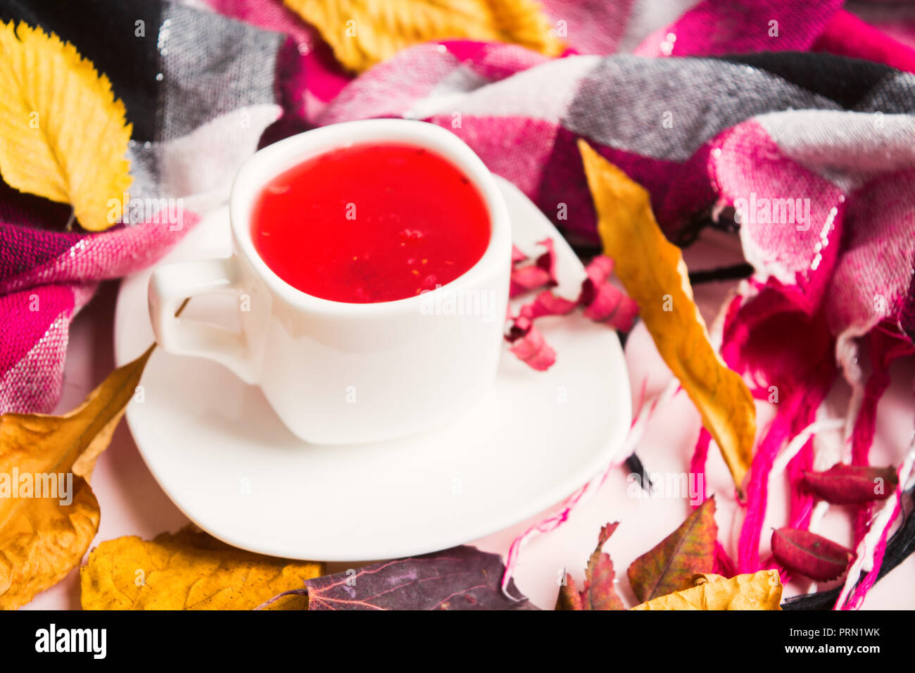 Autumn composition with red hot drink with colorful scarf and dry ...