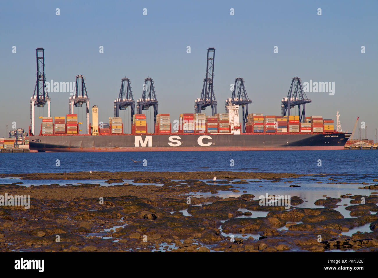 A large container ship the MSC Mirja moored at the port of Felixstowe ...