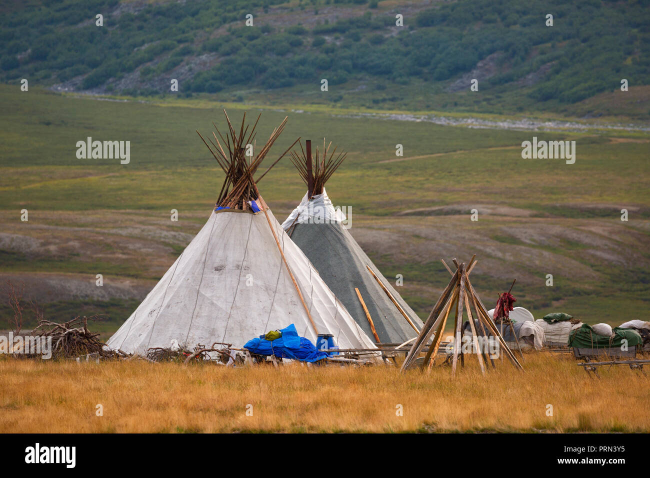 Two chum in the tundra in the summer, Yamal, Russia Stock Photo - Alamy