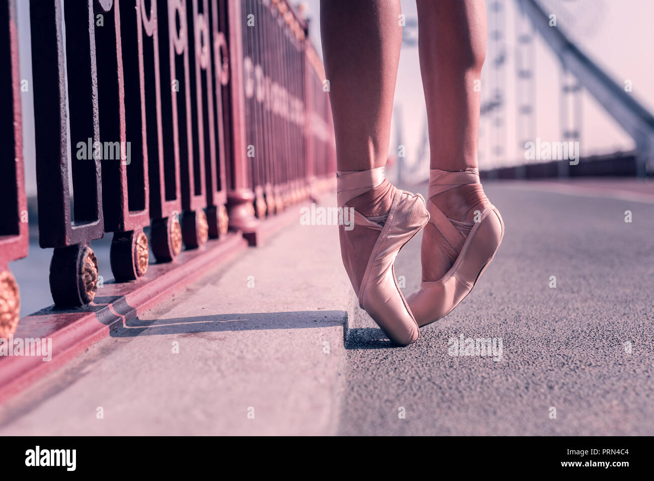 Professional ballet dancer standing on her shoes Stock Photo - Alamy