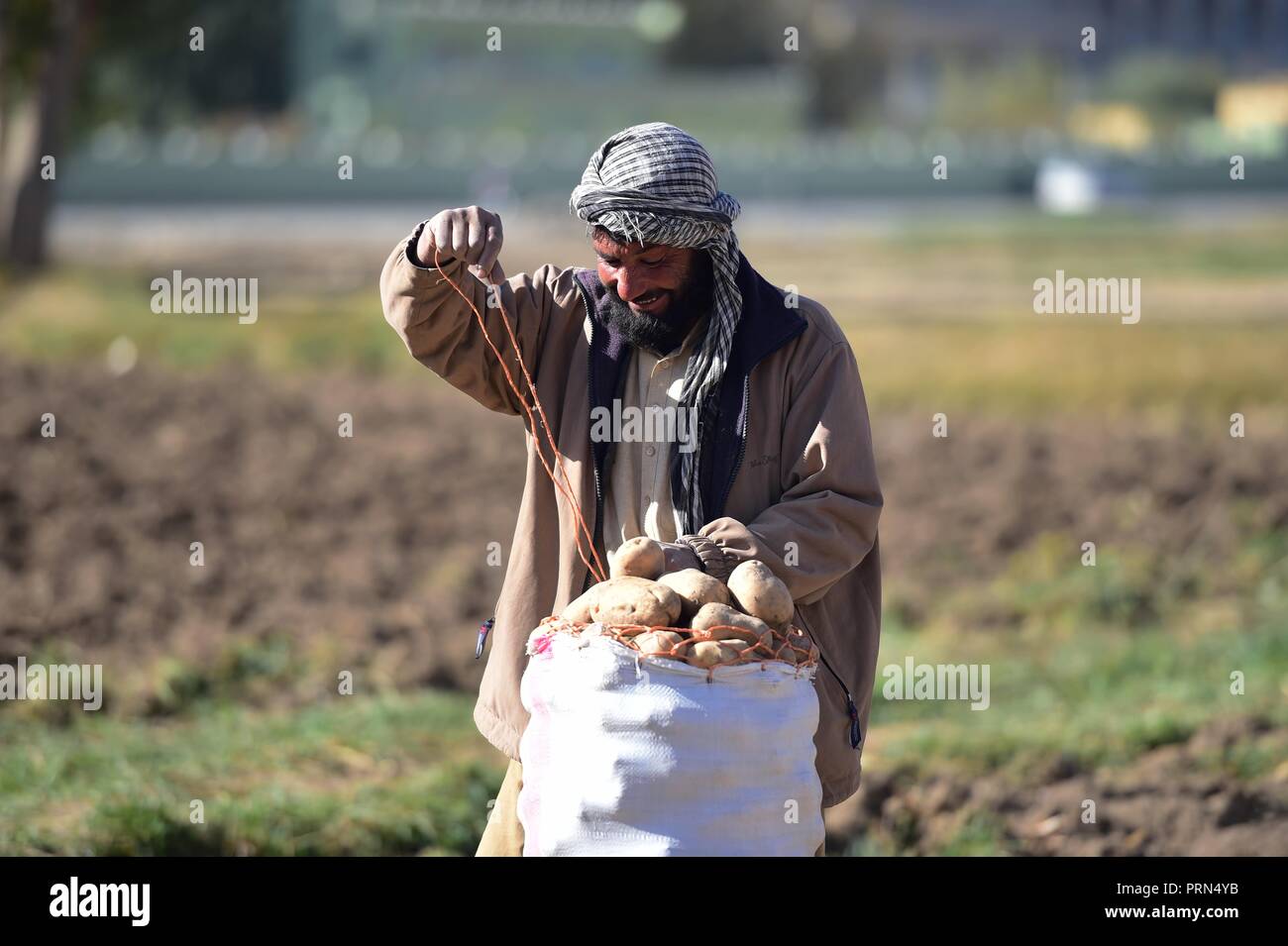 Bamiyan, Afghanistan. 2nd Oct, 2018. An Afghan farmer collects potatoes ...