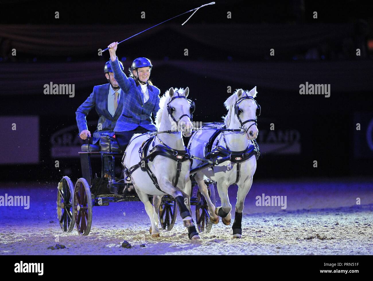 Double harness hi-res stock photography and images - Alamy