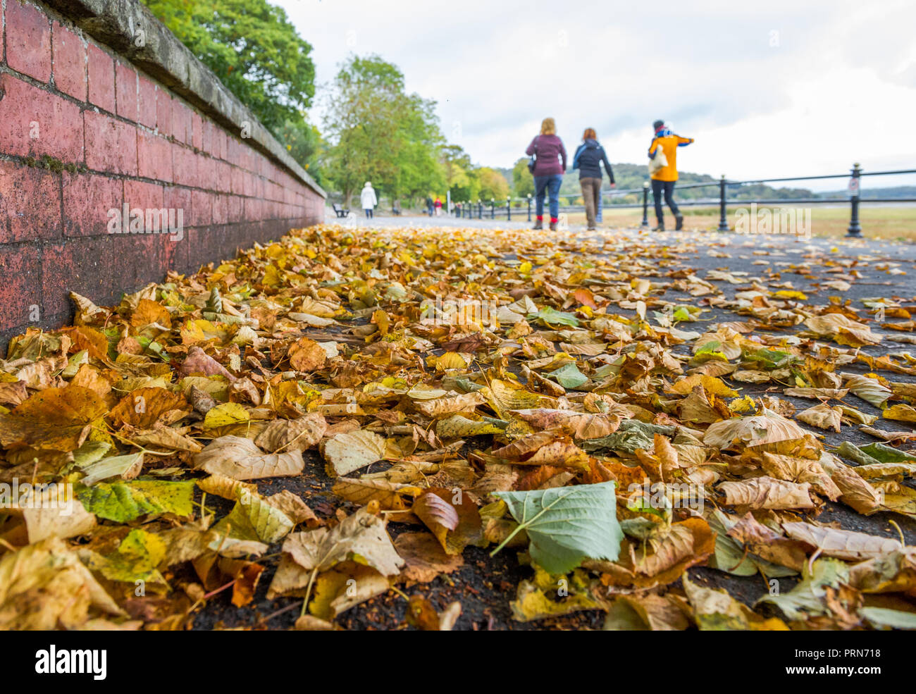 Grange over sands promenade hi-res stock photography and images - Alamy