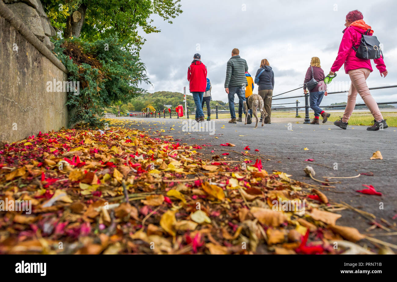 Grange over sands promenade hi-res stock photography and images - Alamy
