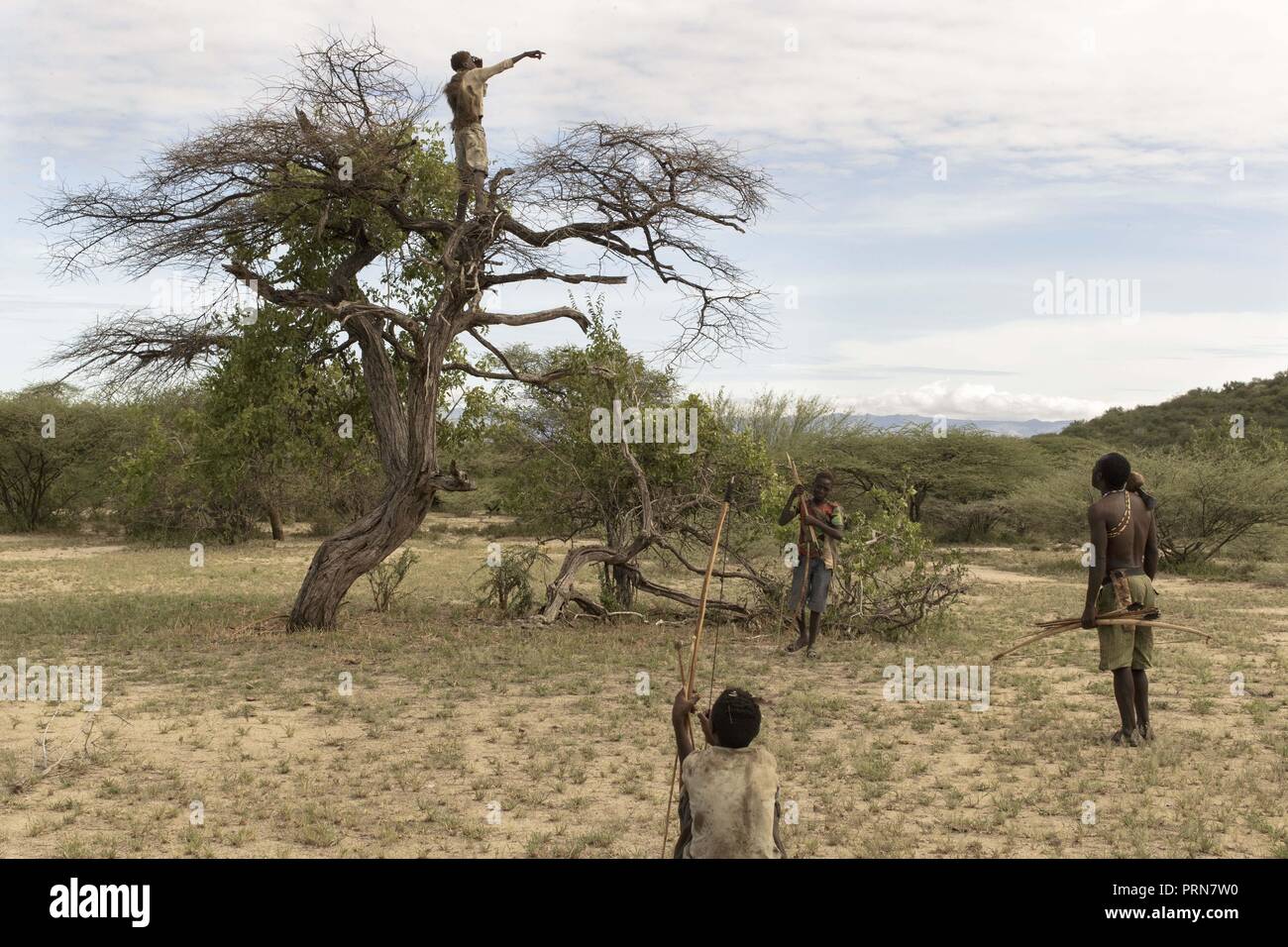 Hadza honey hi-res stock photography and images - Alamy