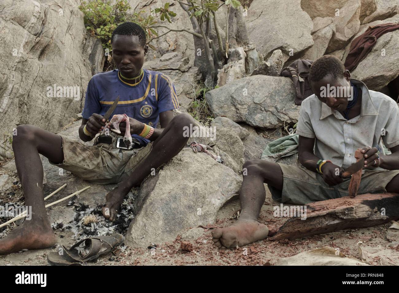 Hadza food hi-res stock photography and images - Alamy