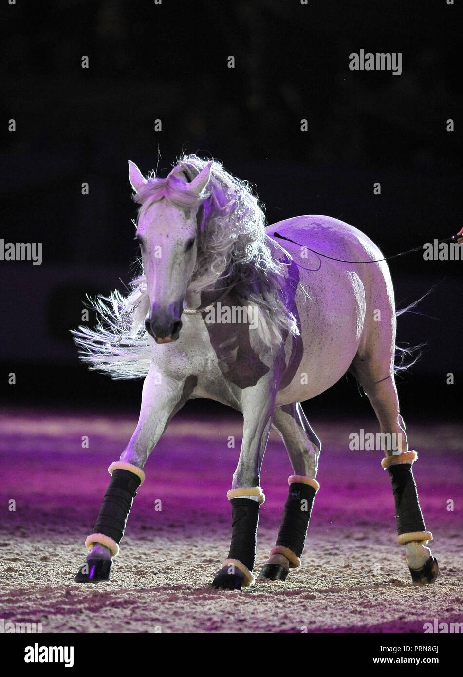 Alizee froment hi-res stock photography and images - Alamy