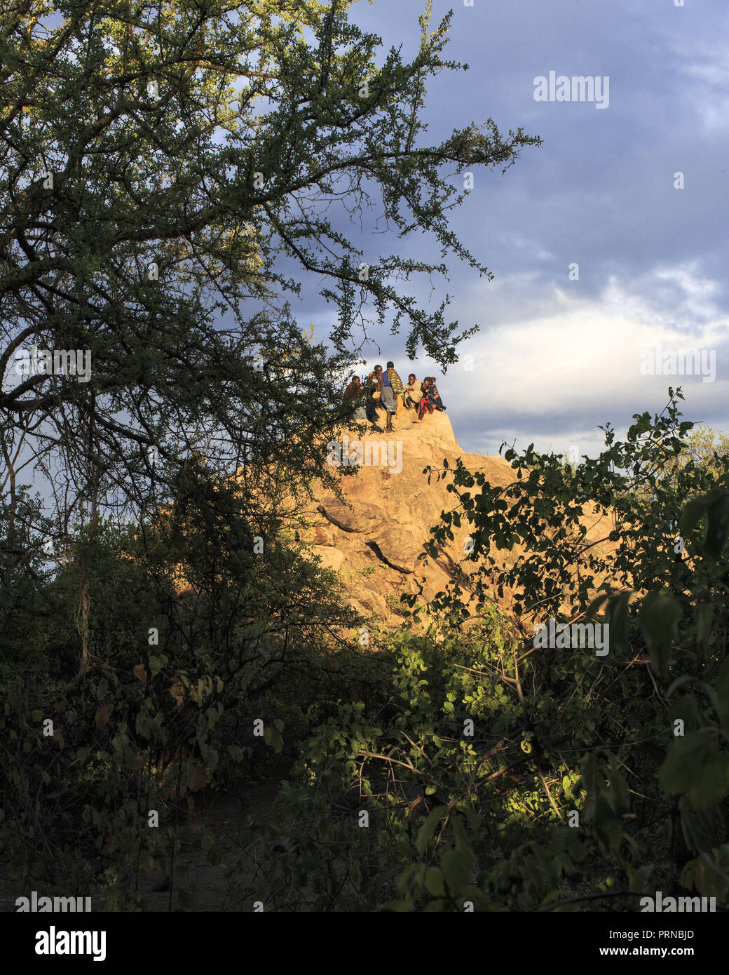 Wild animals live together hi-res stock photography and images - Alamy