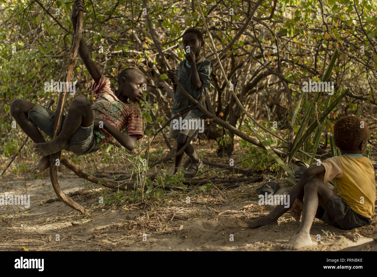 Babu animals hi-res stock photography and images - Alamy