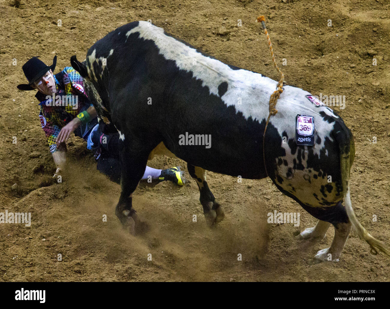 Las vegas national rodeo hi-res stock photography and images - Alamy