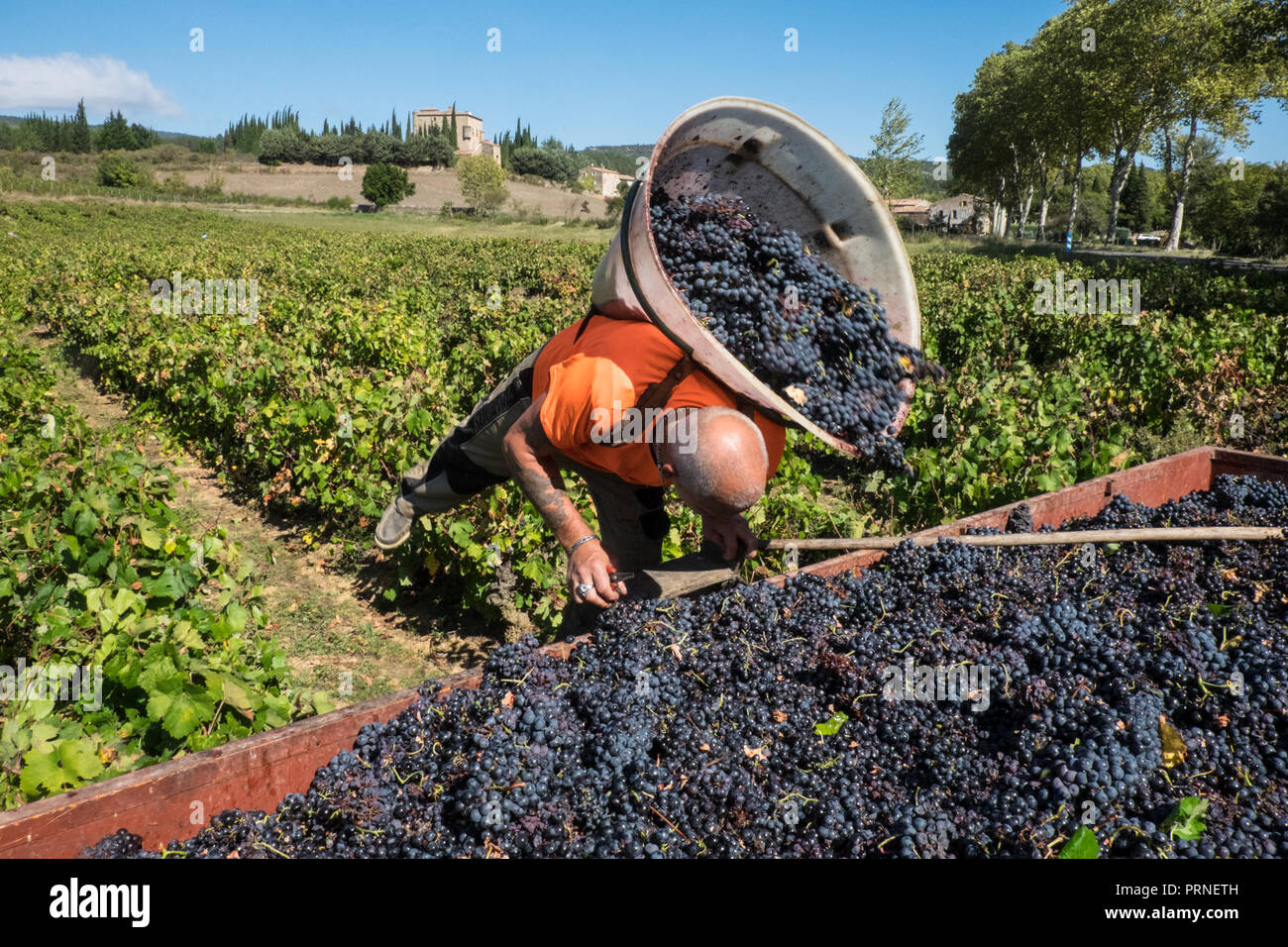 Aude Province, France. 3rd October, 2018. Last French harvest before ...