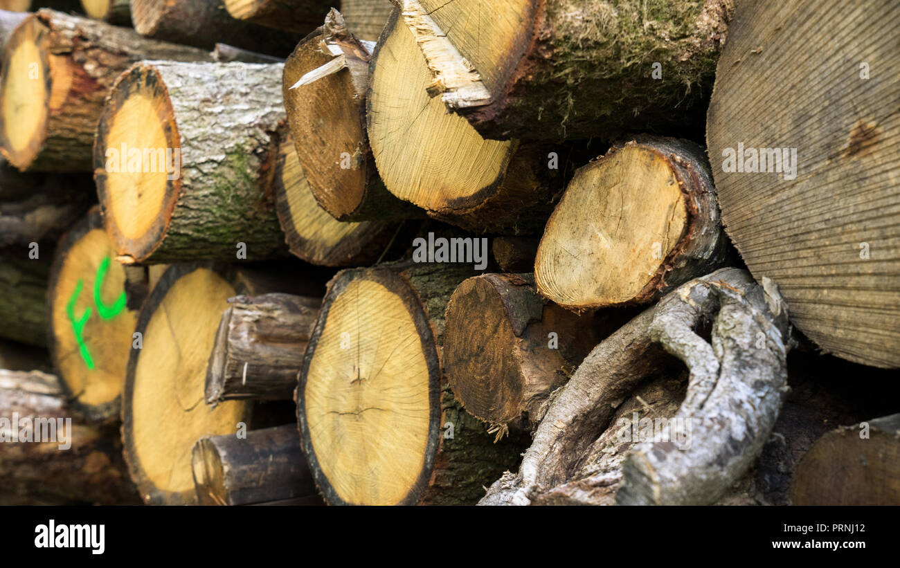 Stacked logs of wood ready for work Stock Photo - Alamy