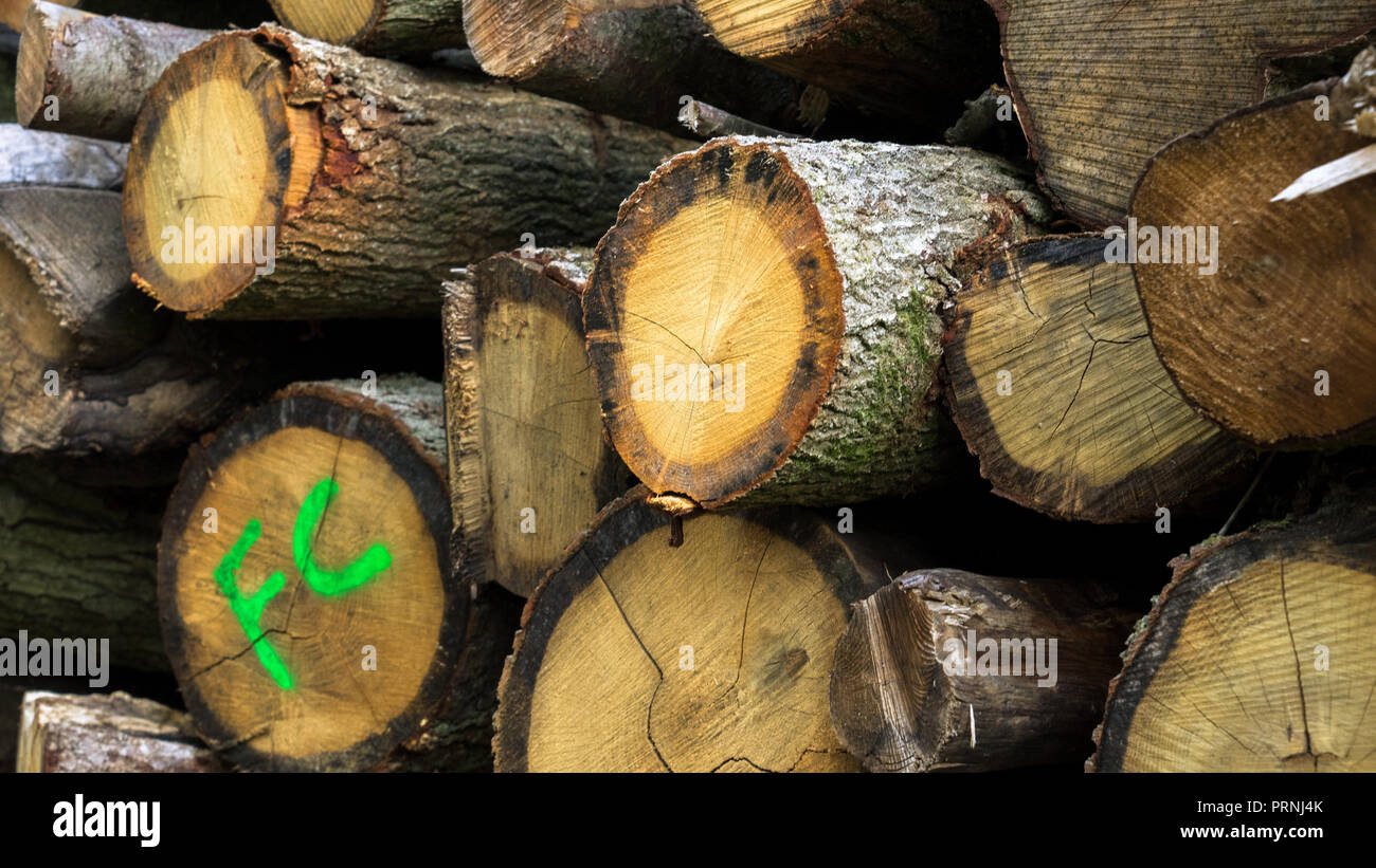 Stacked logs of wood ready for work Stock Photo - Alamy