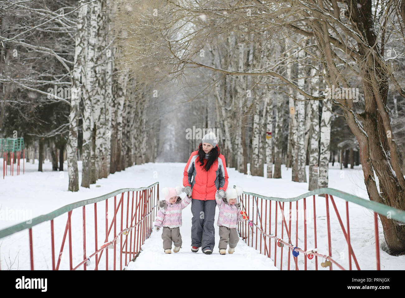 Children walk in the park in winter. Winter forest a family with Stock ...