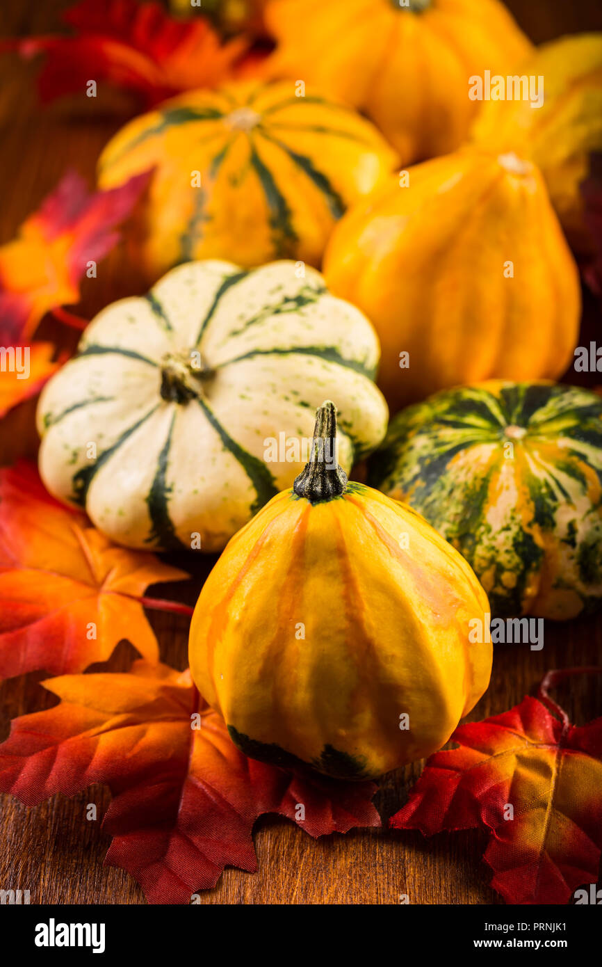 Seasonal vegetable halloween hi-res stock photography and images - Alamy