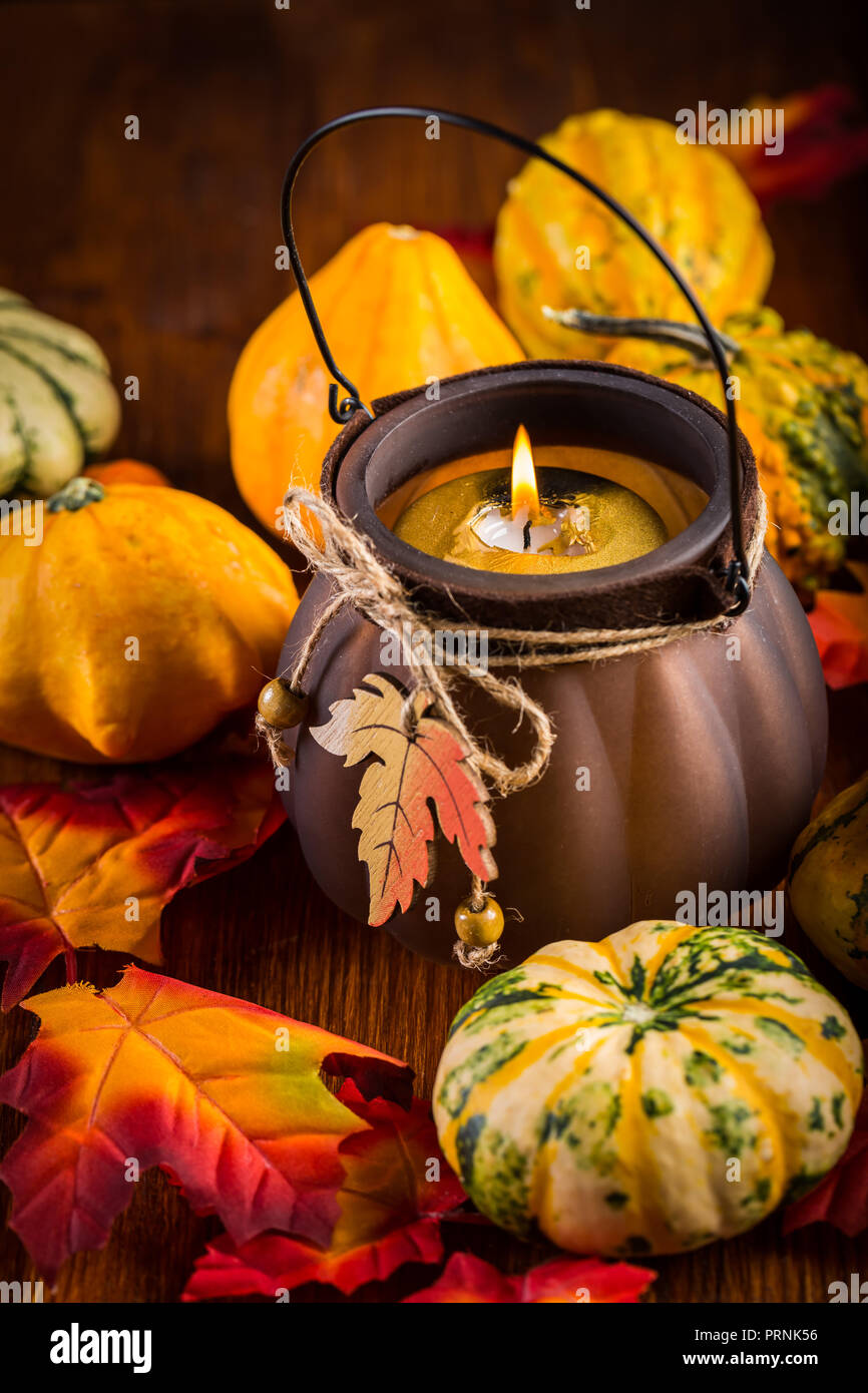 Thanksgiving and Halloween pumpkins still life Stock Photo - Alamy