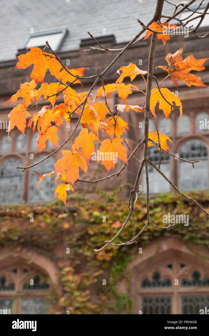 Princeton campus buildings hi-res stock photography and images - Alamy