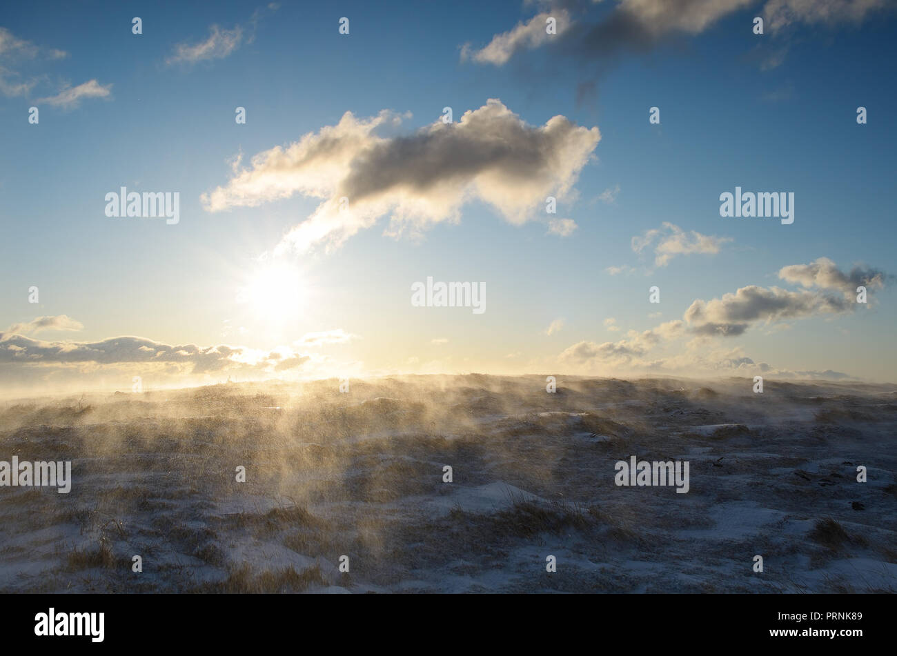 Snowstorm winter storm hi-res stock photography and images - Alamy