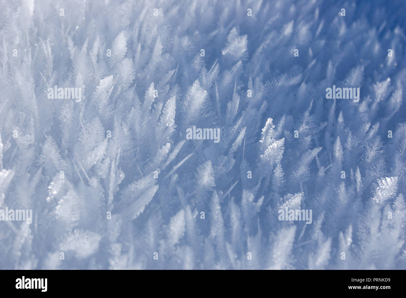 Texture of hoarfrost close up. Winter background for design Stock Photo ...
