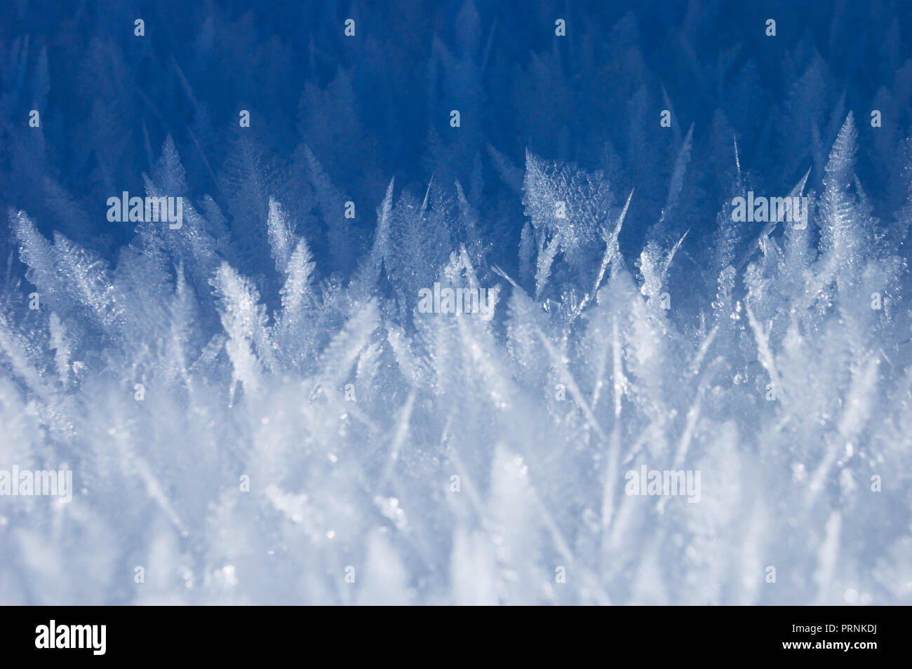 Texture of hoarfrost close up. Winter background for design Stock Photo ...