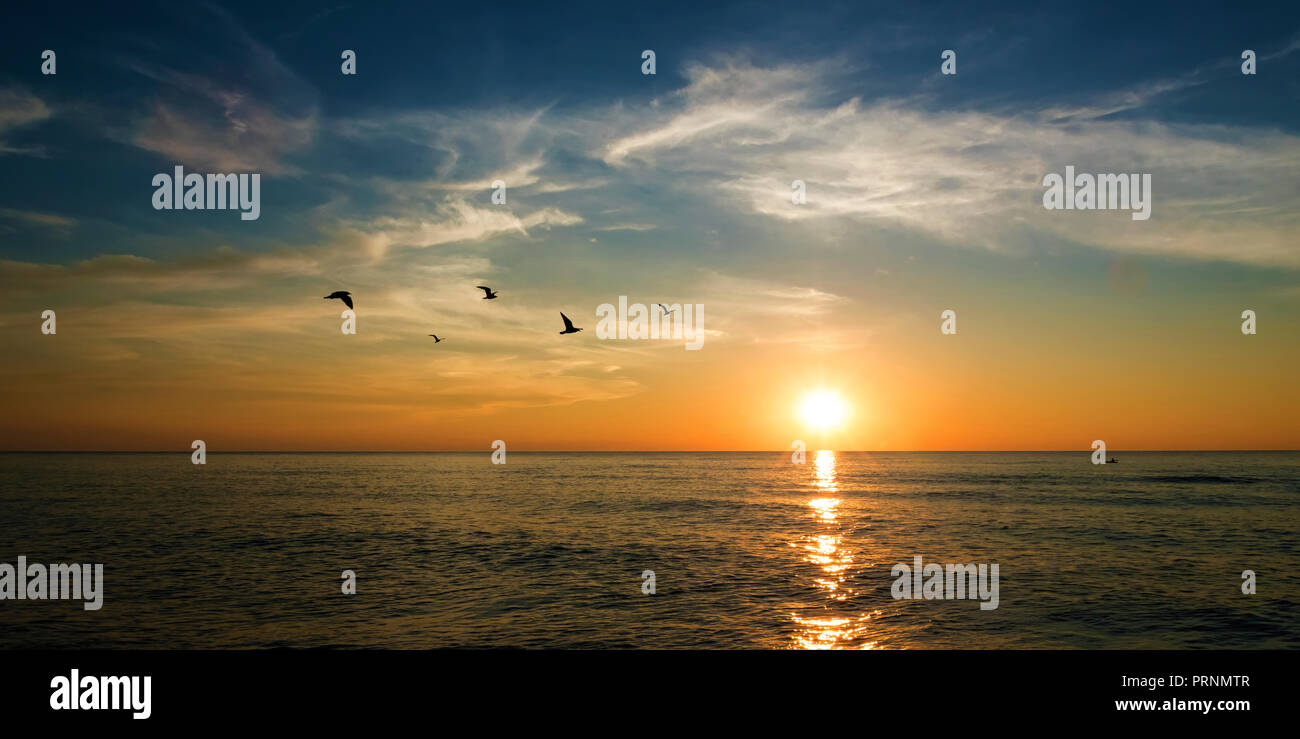 Birds flying over water at sunset Stock Photo - Alamy