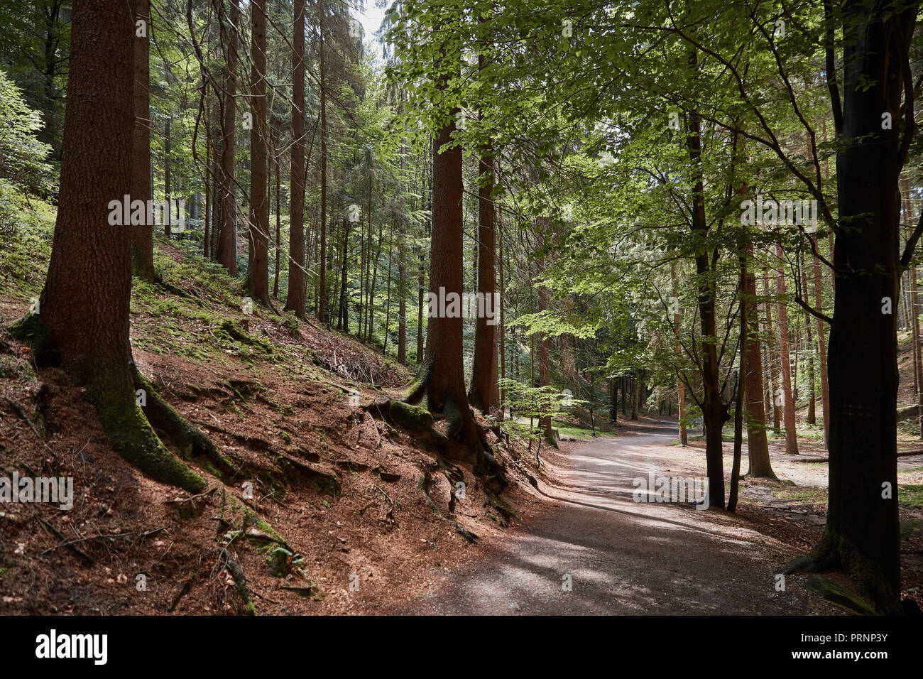 Pathway hill hi-res stock photography and images - Alamy