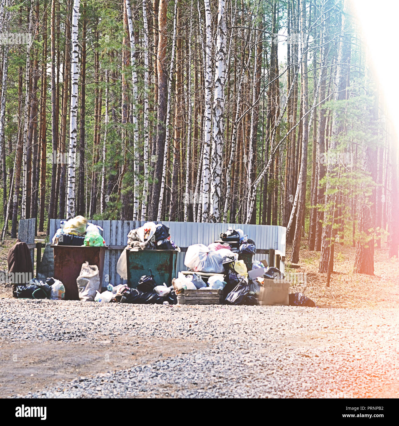 Litter box full of garbage in forest. Concept of ecology problem. Toned ...