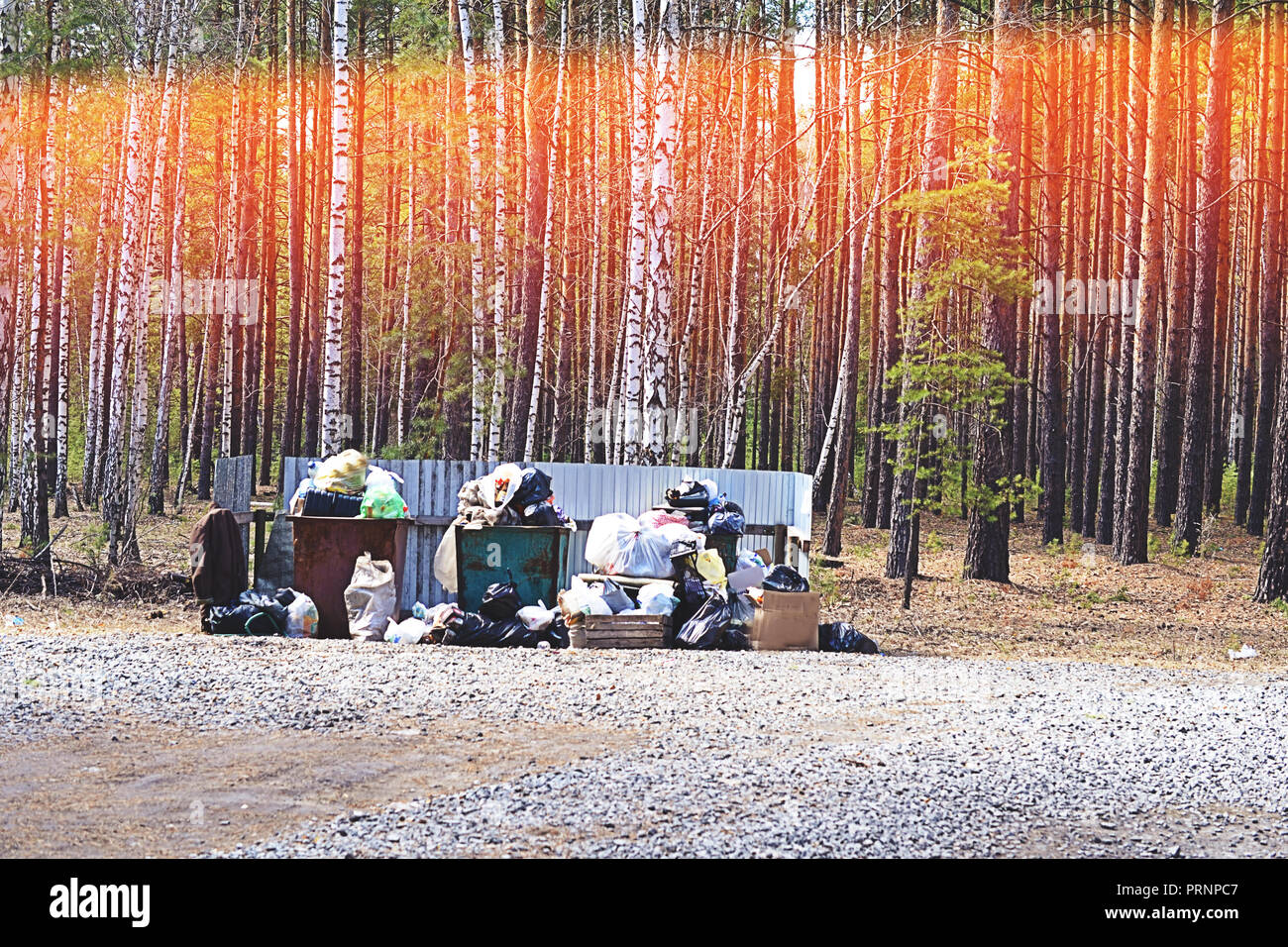 Litter box full of garbage in forest. Concept of ecology problem. Toned ...
