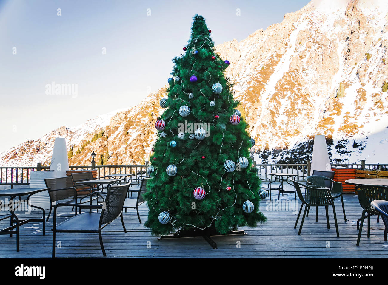 Stunning Christmas Trees Decorated Outside
