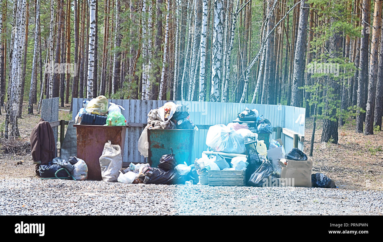 Litter box full of garbage in forest. Concept of ecology problem. Toned ...