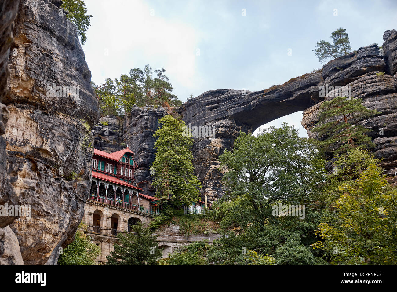 Green Falcons High Resolution Stock Photography and Images - Alamy