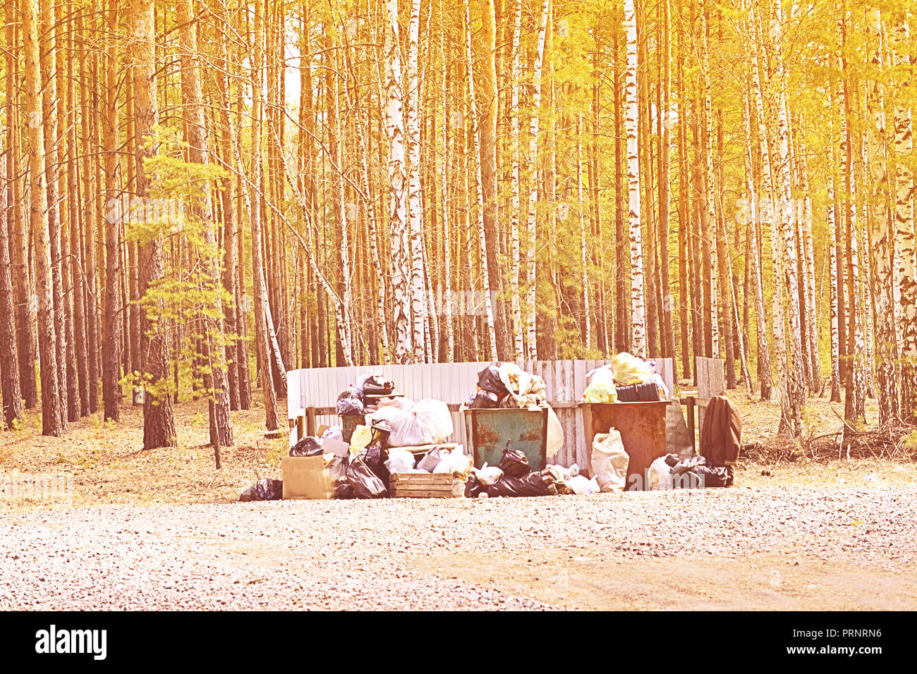 Litter box full of garbage in forest. Concept of ecology problem. Toned ...