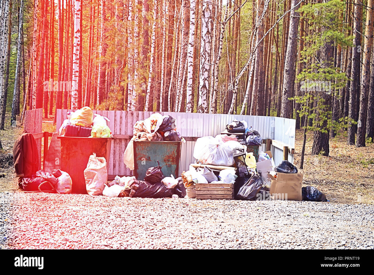 Litter box full of garbage in forest. Concept of ecology problem. Toned ...