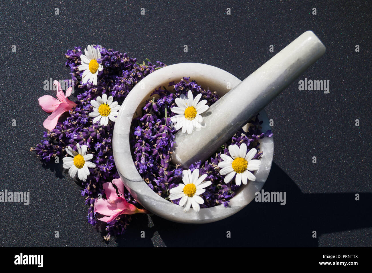 Lavender natural medicine Stock Photo - Alamy