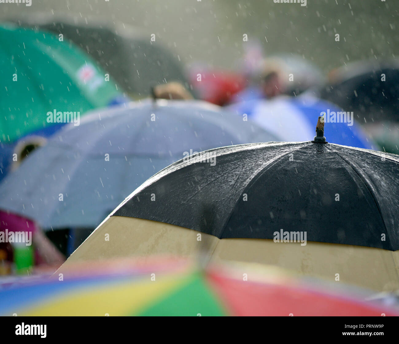 Multiple umbrellas in use in a rain storm Stock Photo - Alamy
