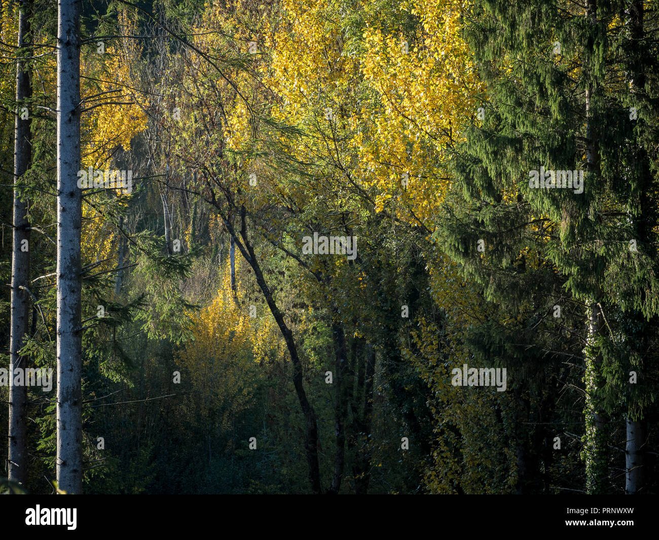 Cwm ffynonne hi-res stock photography and images - Alamy