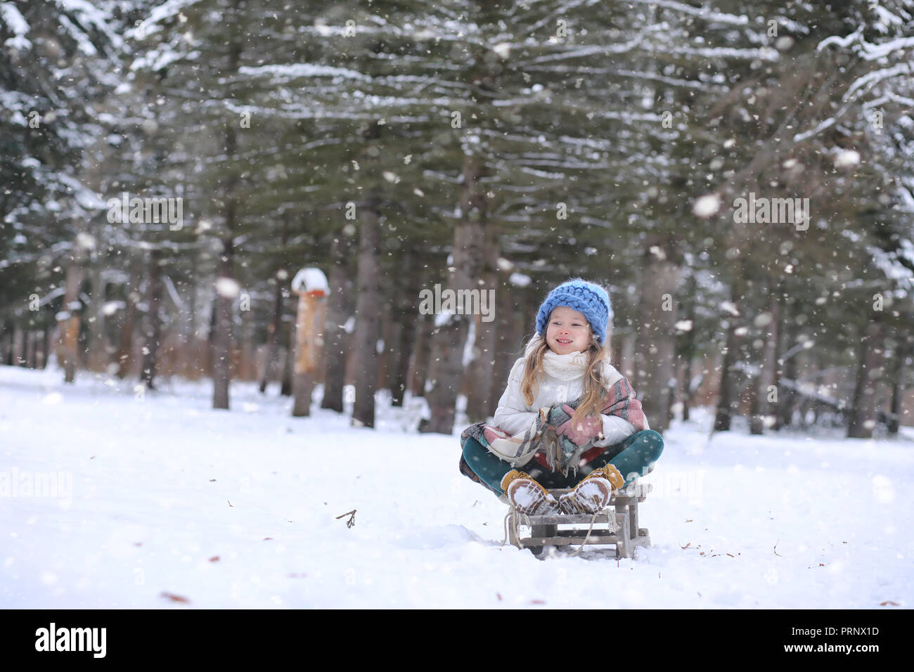 A winter fairy tale, a young mother and her daughter ride a sled Stock ...