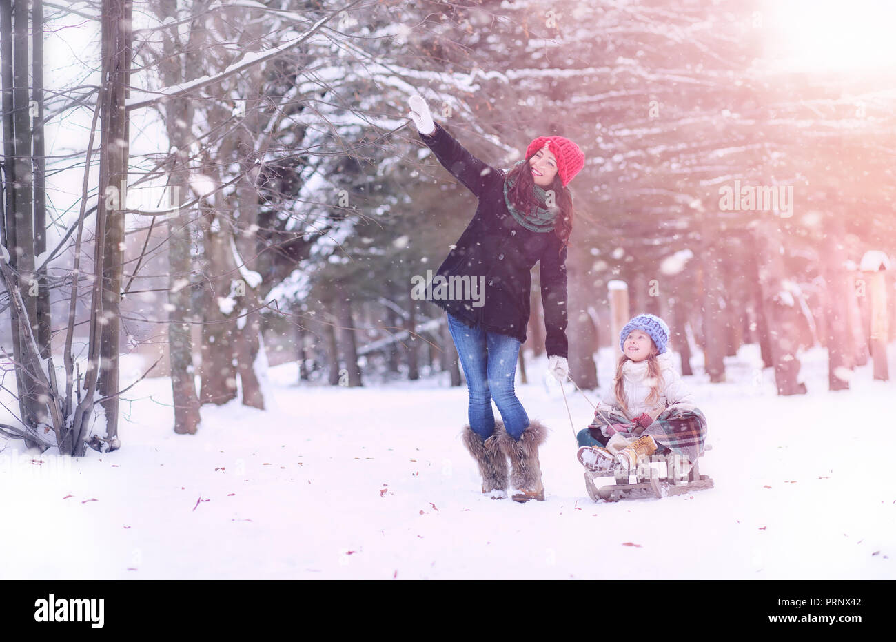 A winter fairy tale, a young mother and her daughter ride a sled Stock ...