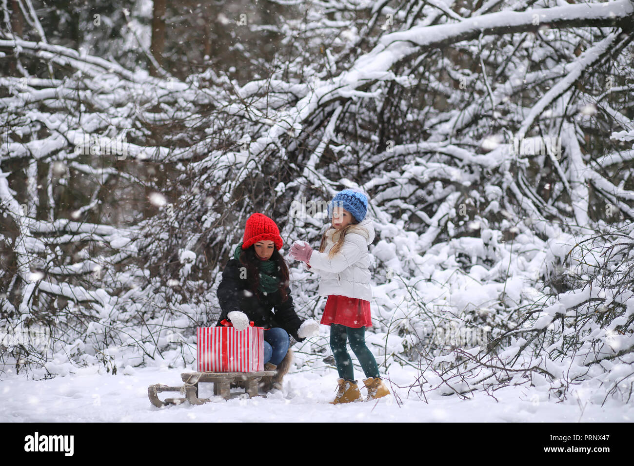 A winter fairy tale, a young mother and her daughter ride a sled Stock ...