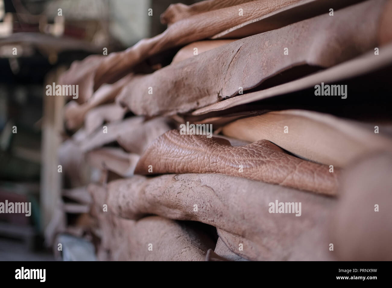 Leathers seen during the leather processing at the leather tannery ...