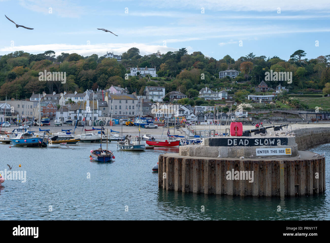 Lyme regis cobb beach hi-res stock photography and images - Alamy