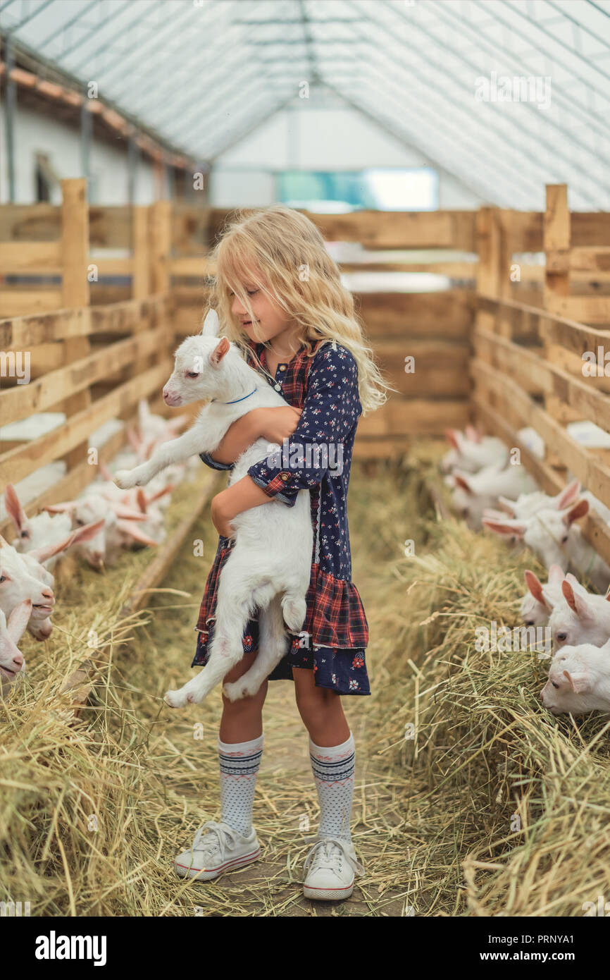 adorable kid hugging goat at farm Stock Photo - Alamy