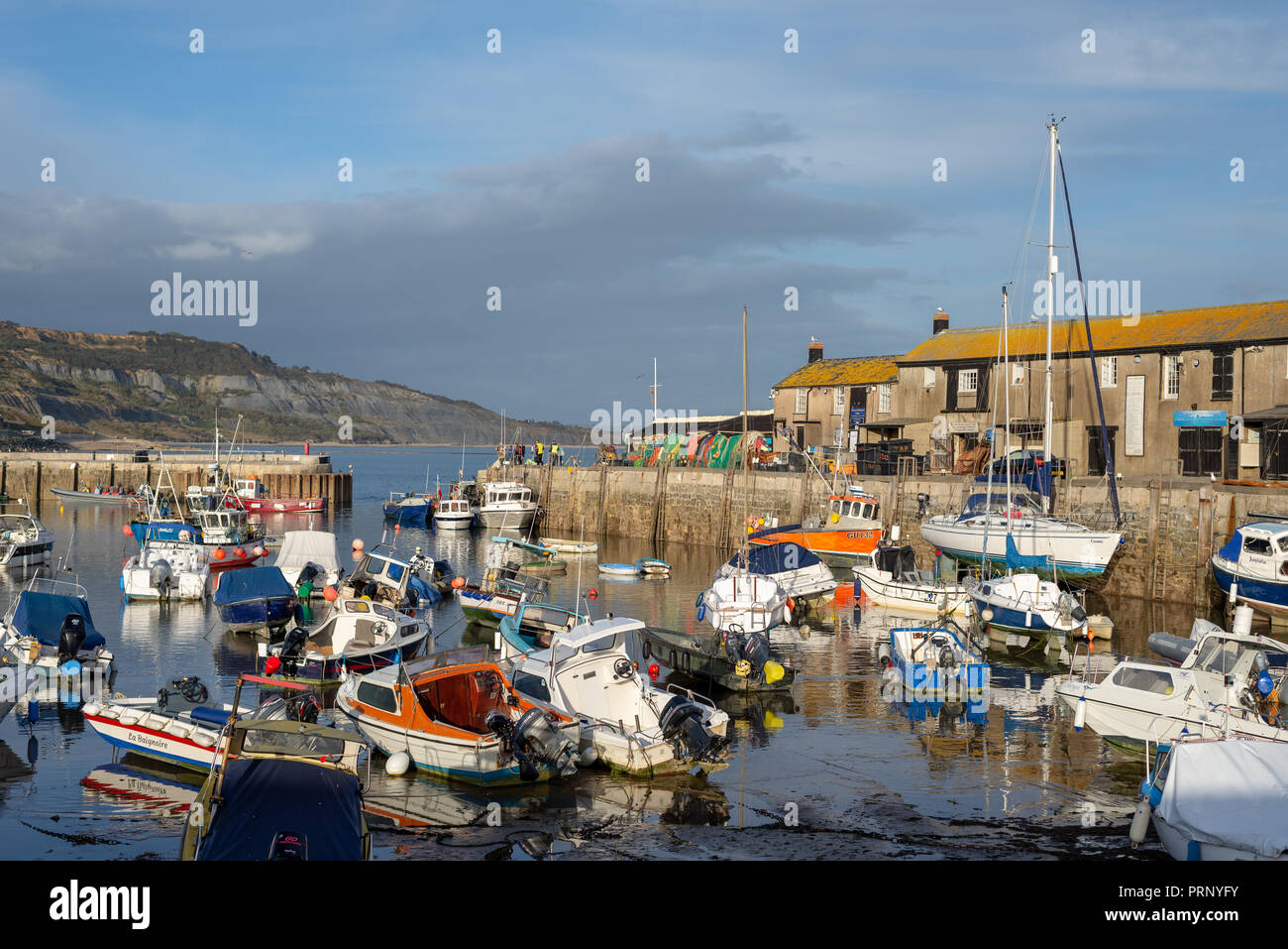 Lyme Regis Cobb, beach and harbour, Dorset, England Stock Photo - Alamy